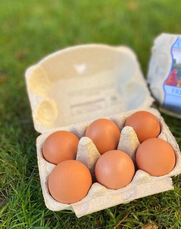 Pack of 6 Free Range Eggs Tray – Farm Fresh Raw Milk Distribution